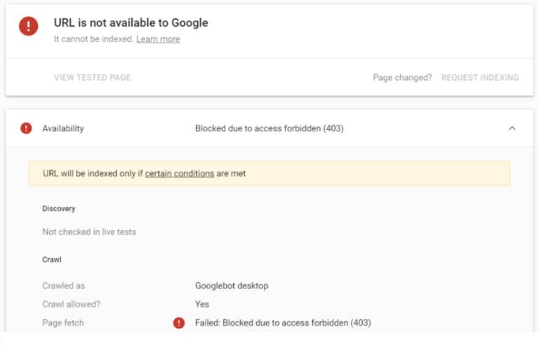 Professional SEO Services by Expert SEO Company